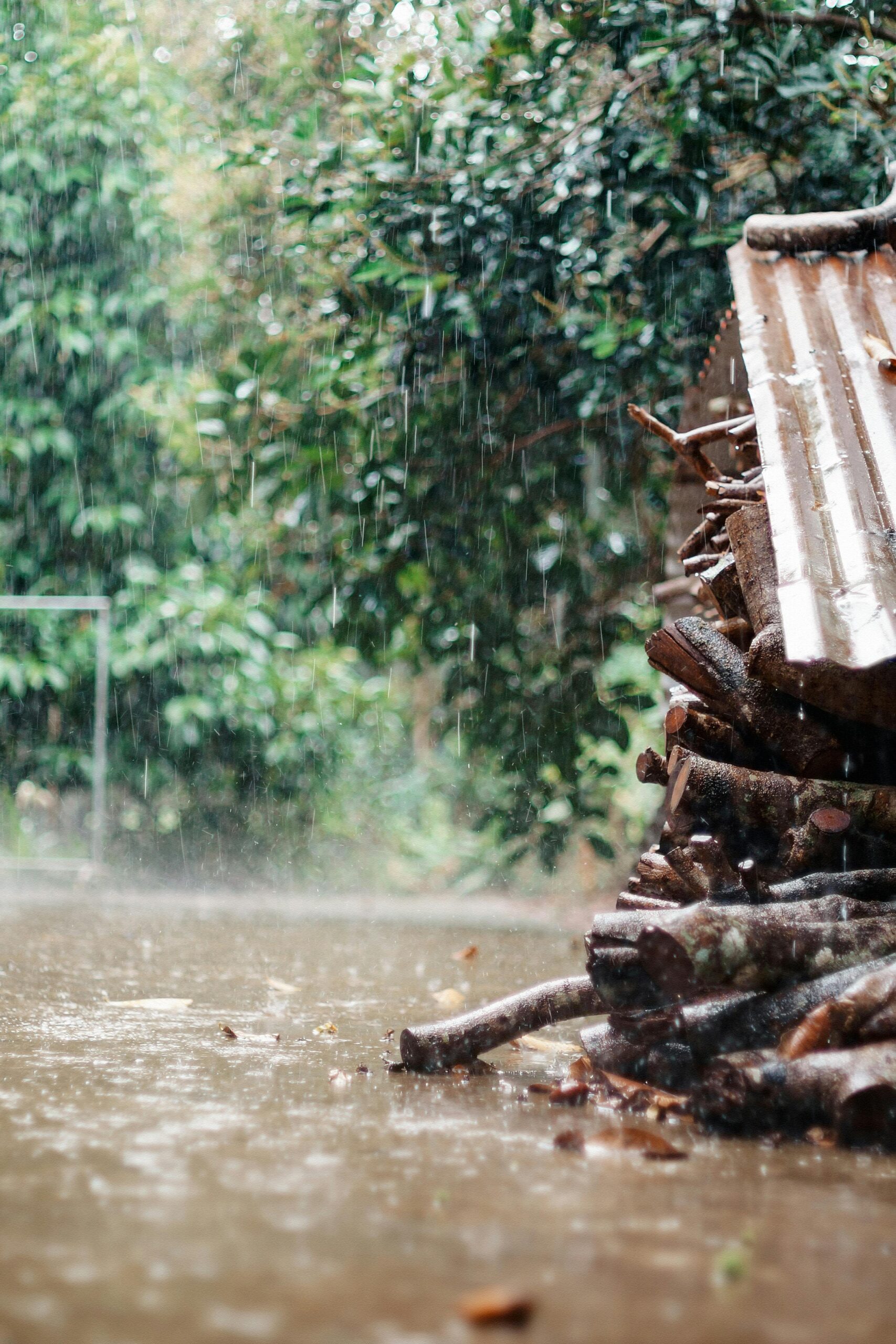 The Day It Rained and Everything Changed: Finding Hope in the First ...